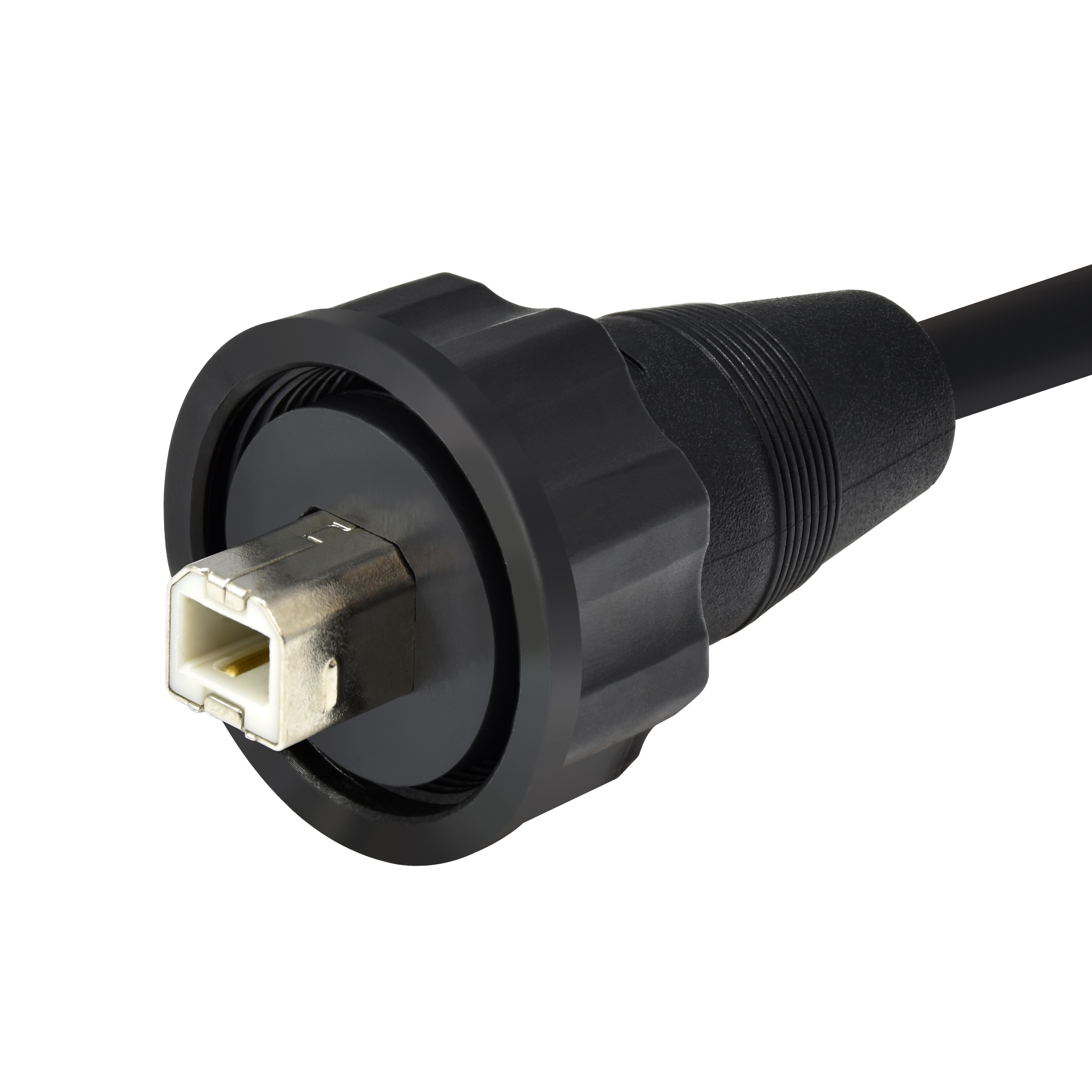 CW30613ACA01E1M0 - 詮欣股份有限公司